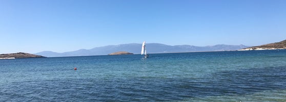 Pokaia Beach Mark Werner Plajı